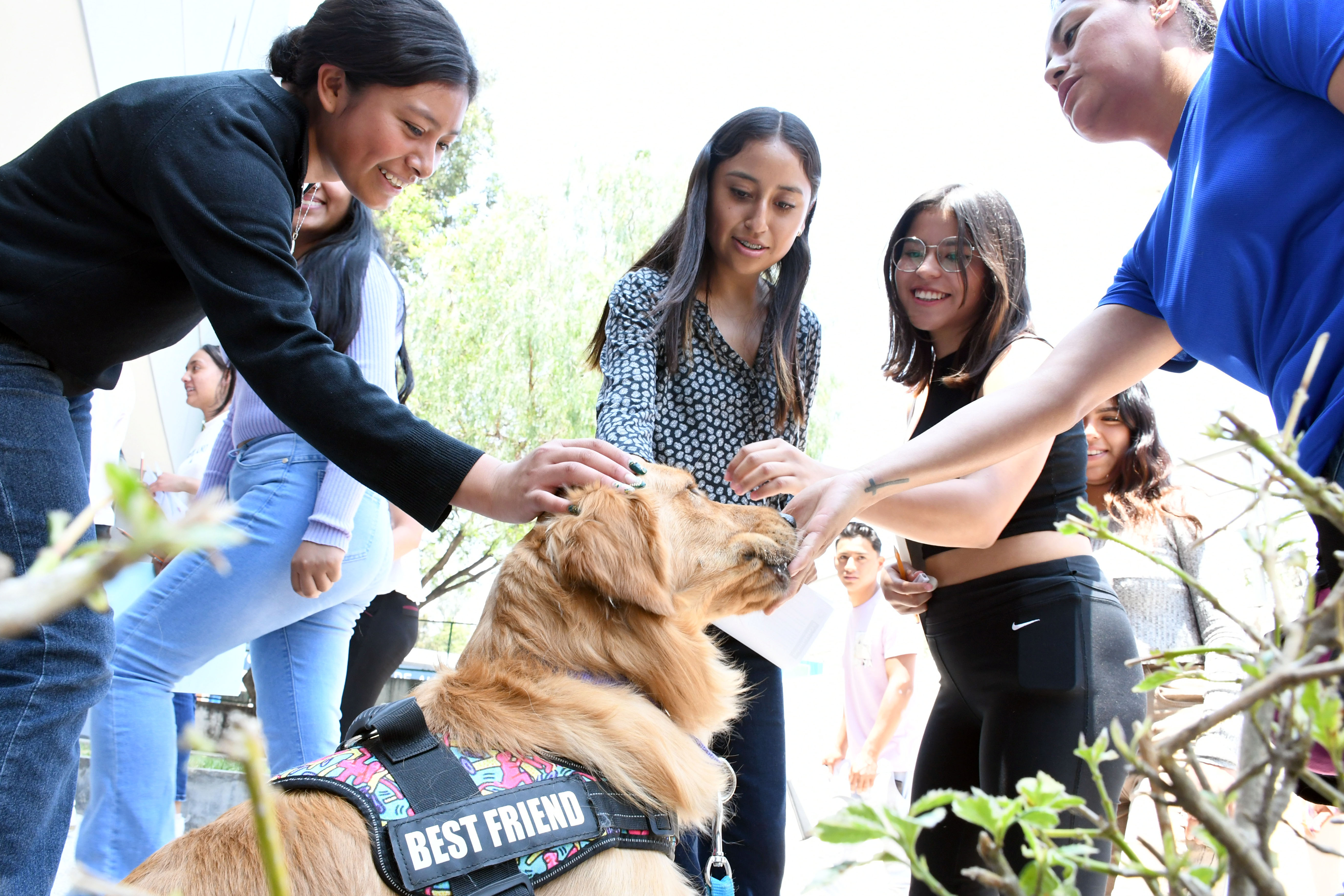 Inicia la BUAP la aplicación del Examen General de Admisión | Boletines BUAP